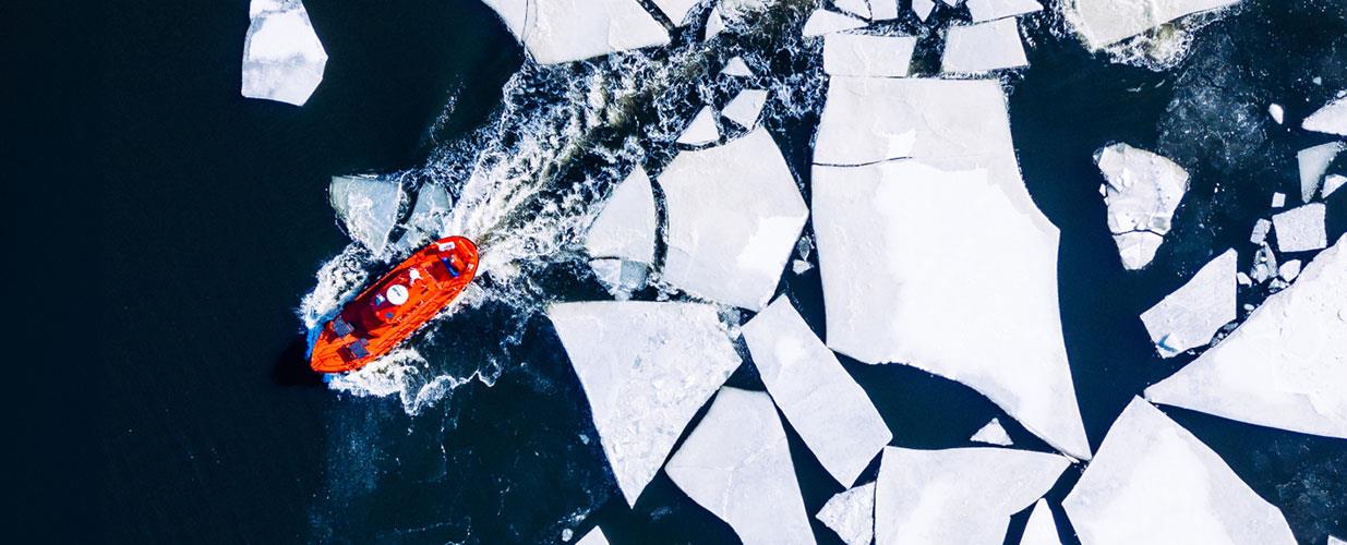 Credible Transition Plans | Sustainability | Lloyds Bank Business